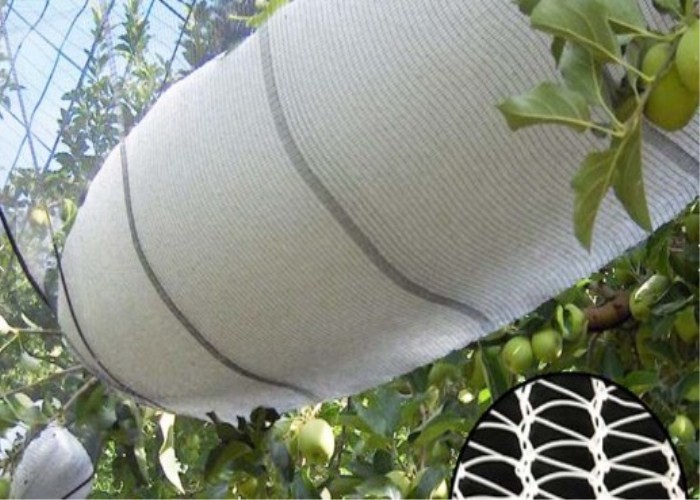 OEM Hail Proof Greenhouse Agricultural Anti Hail Nets For Apple Trees