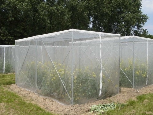 Customized Size Insect Fly Screen Mesh , Anti Hail Netting Fabric ...