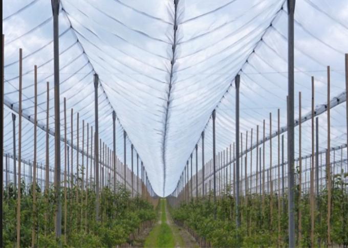 OEM Hail Proof Greenhouse Agricultural Anti Hail Nets For Apple Trees